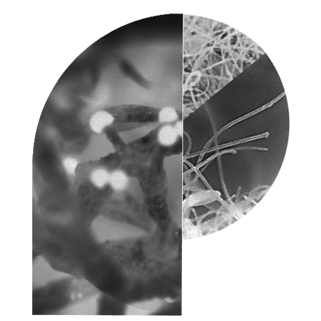 Project overview | PAINSTORM